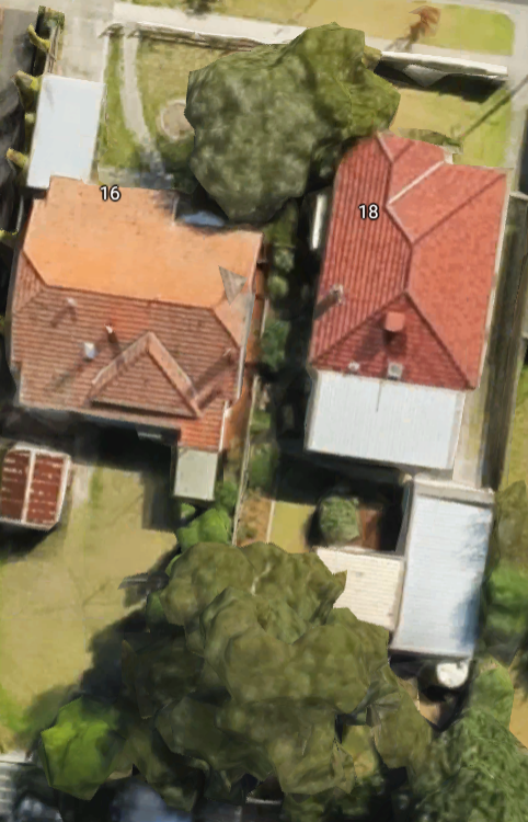 Our Non-Existent Tree Protection! | Glen Eira Debates